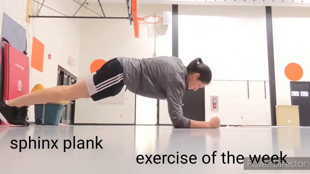 exercise- sphinx plank - YouTube