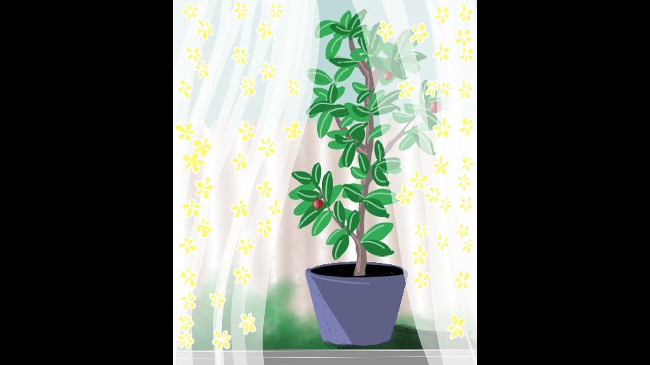 Drawing a Baby Apple Tree : ) - YouTube