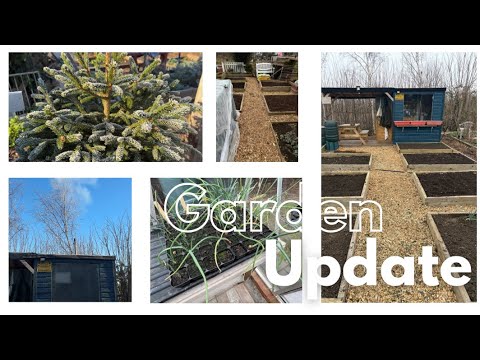 Building new allotment benches for greenhouse and newly wood chipped ...