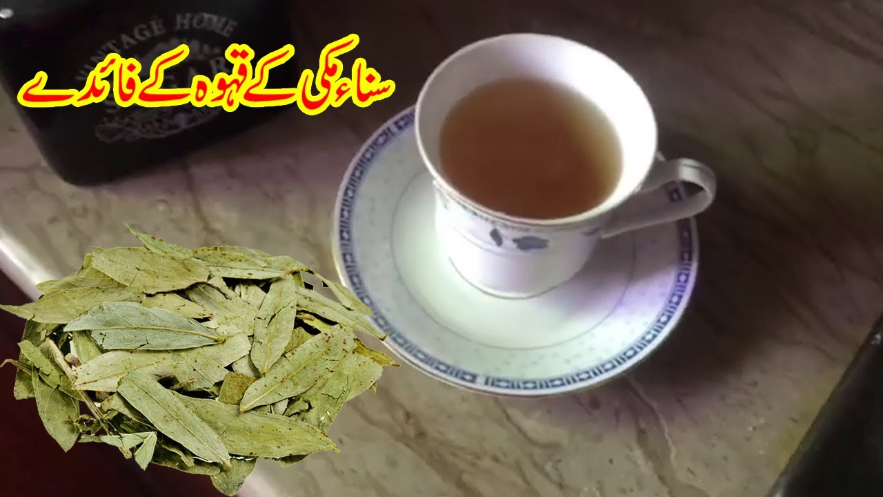sana makki tea recipe | sana makki Leaf benefit | Mahzaidi - YouTube