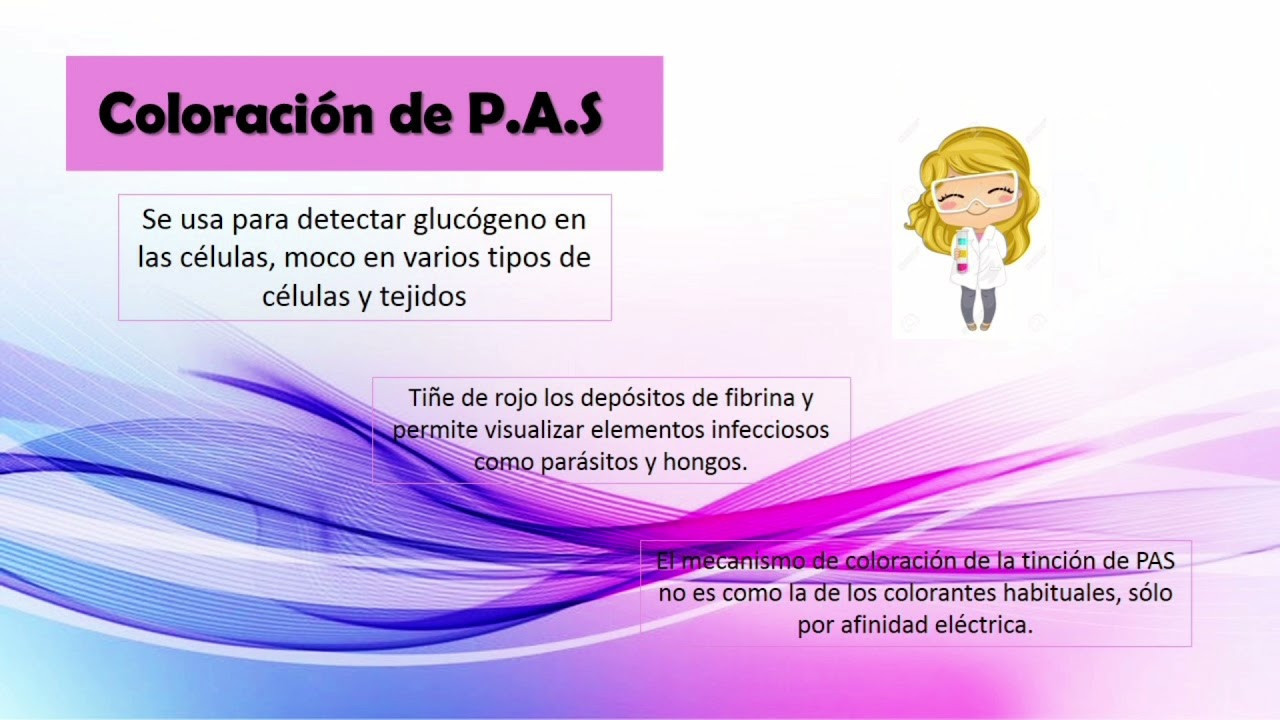 Coloracion para carbohidratos || Tinción de PAS - YouTube