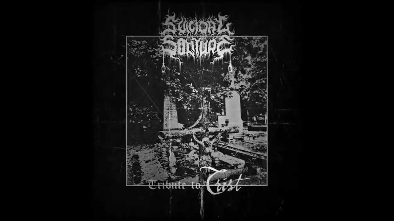 Suicidal Solitude - Stíny (Trist cover) - YouTube