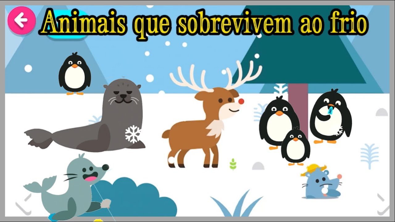 ANIMAIS DA NEVE | animais que vivem na neve | os animais | super legal ...