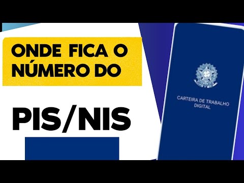 Onde Fica o Número do PIS na Carteira de Trabalho Digital | PIS | NIT ...