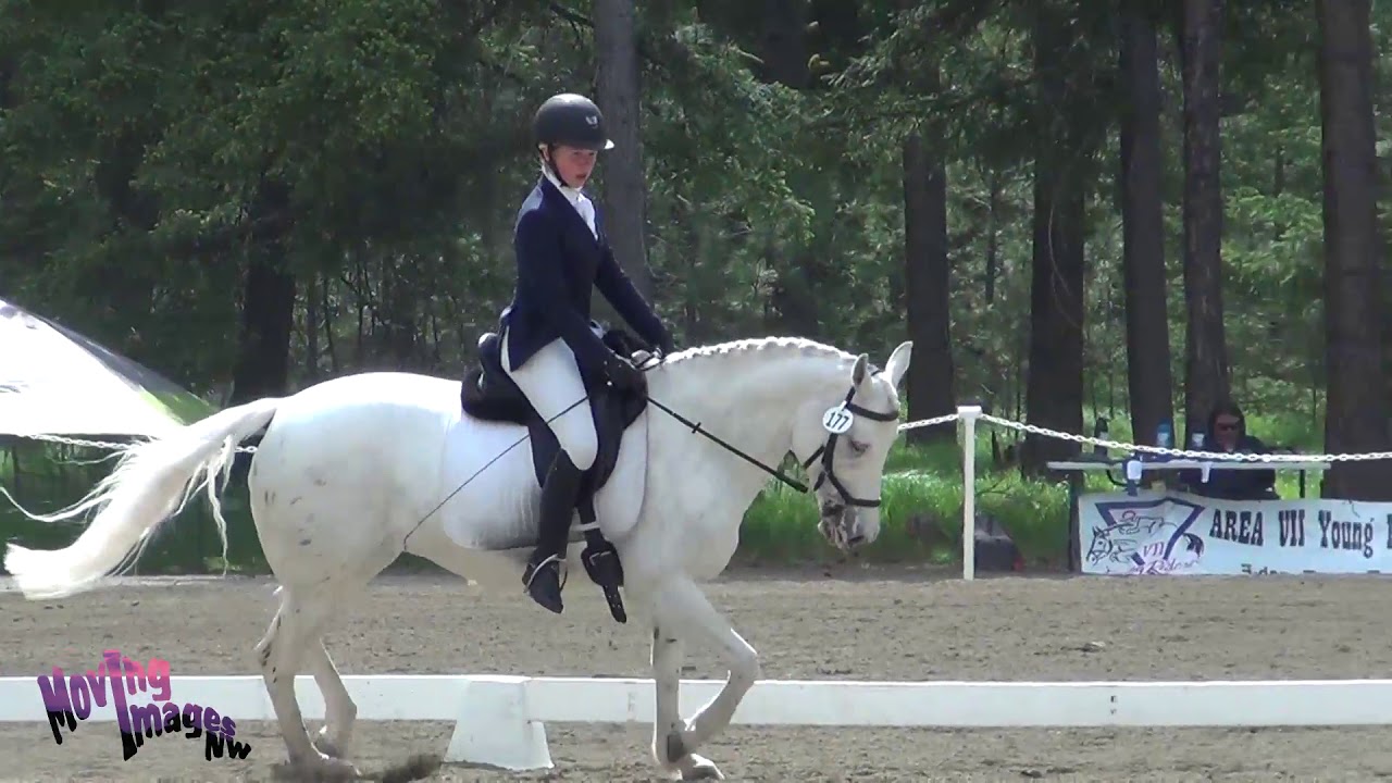 Abigail Cochran; Equestrians Institute HT May 2018 - YouTube