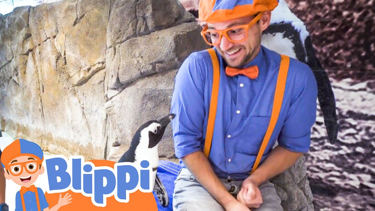 Blippi Learns About Penguins at the Zoo | Cars, Trucks & Vehicles ...