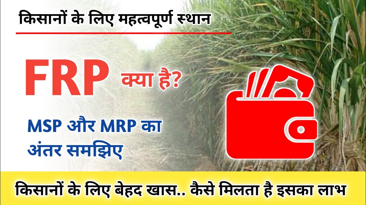 Msp और Frp क्या है? कैसे मिलता है किसानों को इसका लाभ | What is Msp ...