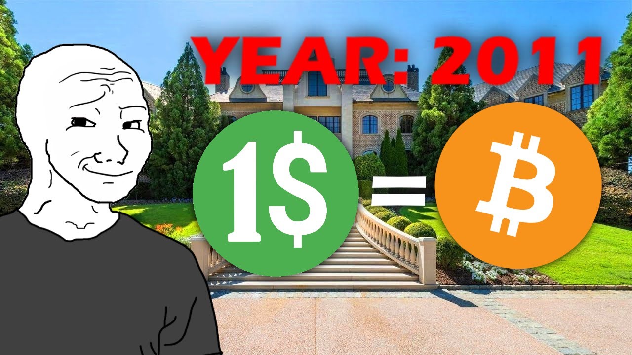 Wojak Time Travels And Buys 1$ Bitcoins - Low Budget Stories - YouTube