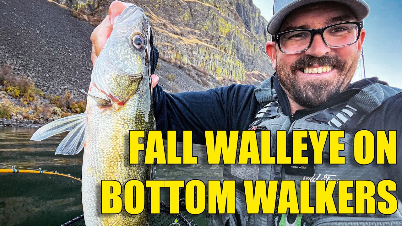 Fall Walleye on Bottom Walkers - YouTube