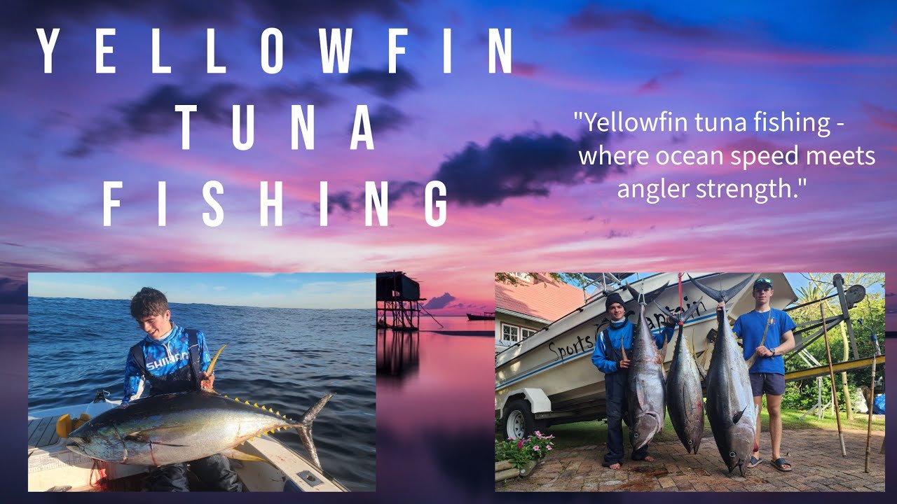 Giants of The Cape: Yellowfin Tuna Fishing Cape Town, South Africa ...