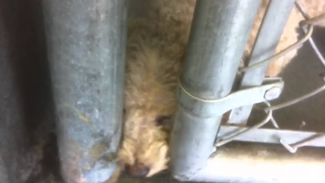 6-21 217988 - YouTube