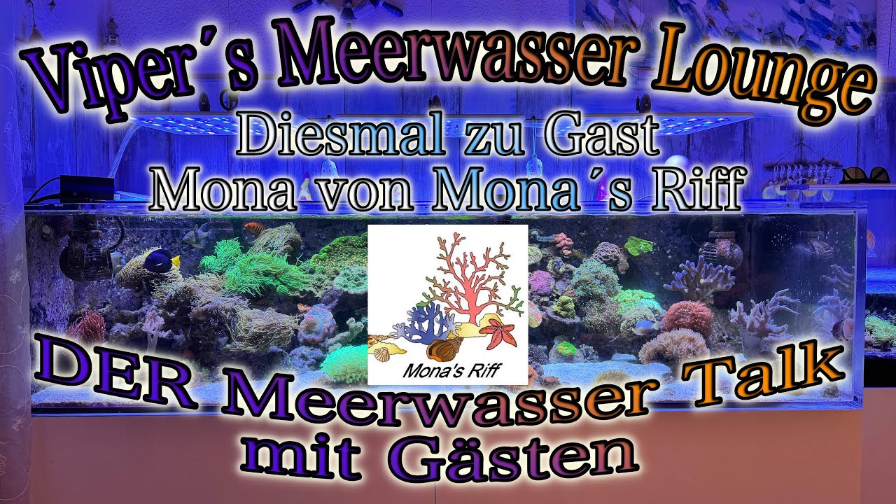 Viper´s Meerwasser Lounge zu Gast Mona von Mona´s Riff - YouTube
