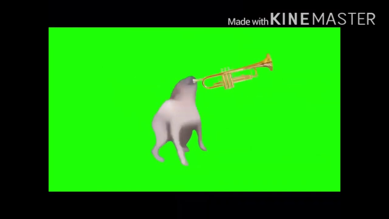 Trumpet Dog (Meme) -Lower Pitched- - YouTube