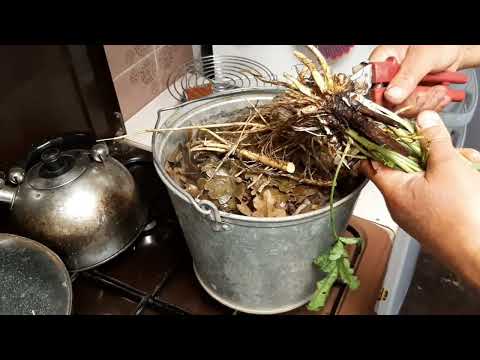 МК по выделке шкуры козлика