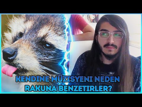 Kendine Müzisyeni Neden Rakuna Benzetirler? [YAYINCI BELGESELİ #1]