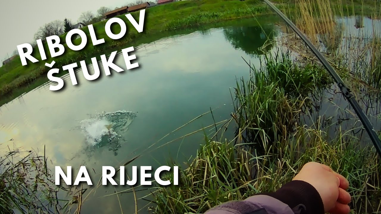 Ribolov štuke u proljeće - Pike Fishing in Spring - YouTube