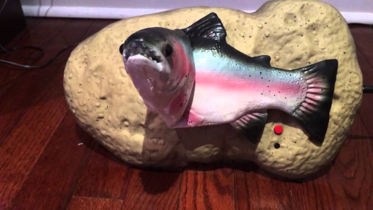TRAVIS The Singing TROUT x2 - YouTube