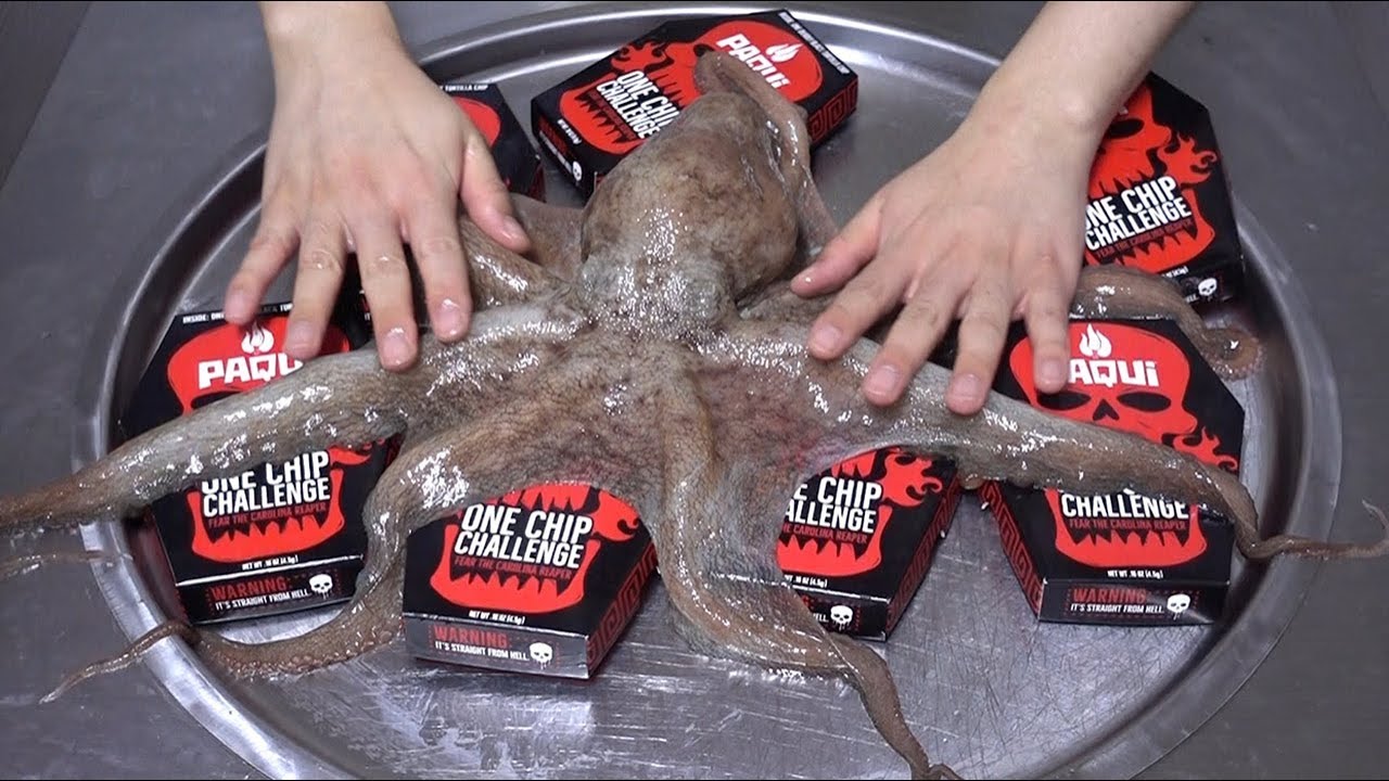 ASMR - World's Hottest One Chip Challenge And Great Octopus Ice Cream ...