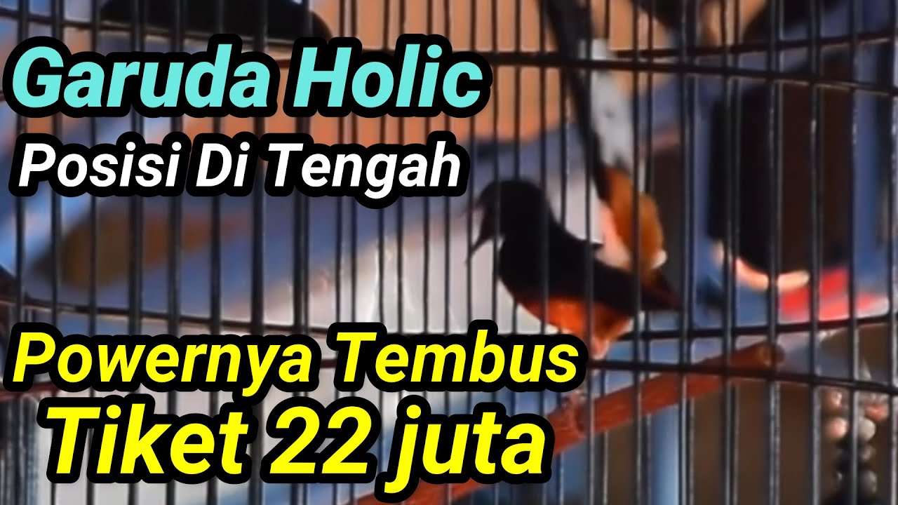 Garuda Holic SMM 22 juta Young n Dangerous Mr "G" KBM BF Kebumen - YouTube