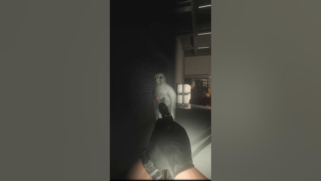 Messing around with a SCP - YouTube