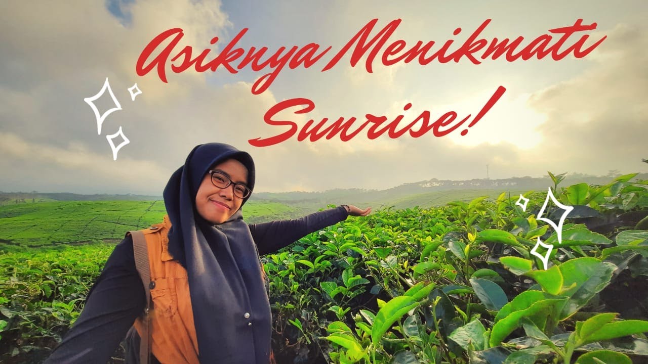 Wisata Kebun Teh Kabawetan Kabupaten Kepahiang Provinsi Bengkulu di ...