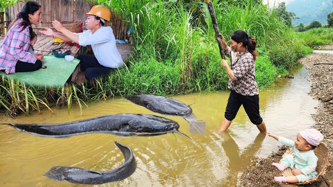 Meet a giant fish nest: fishing and cooking - a loving meal between a single mother and an ...