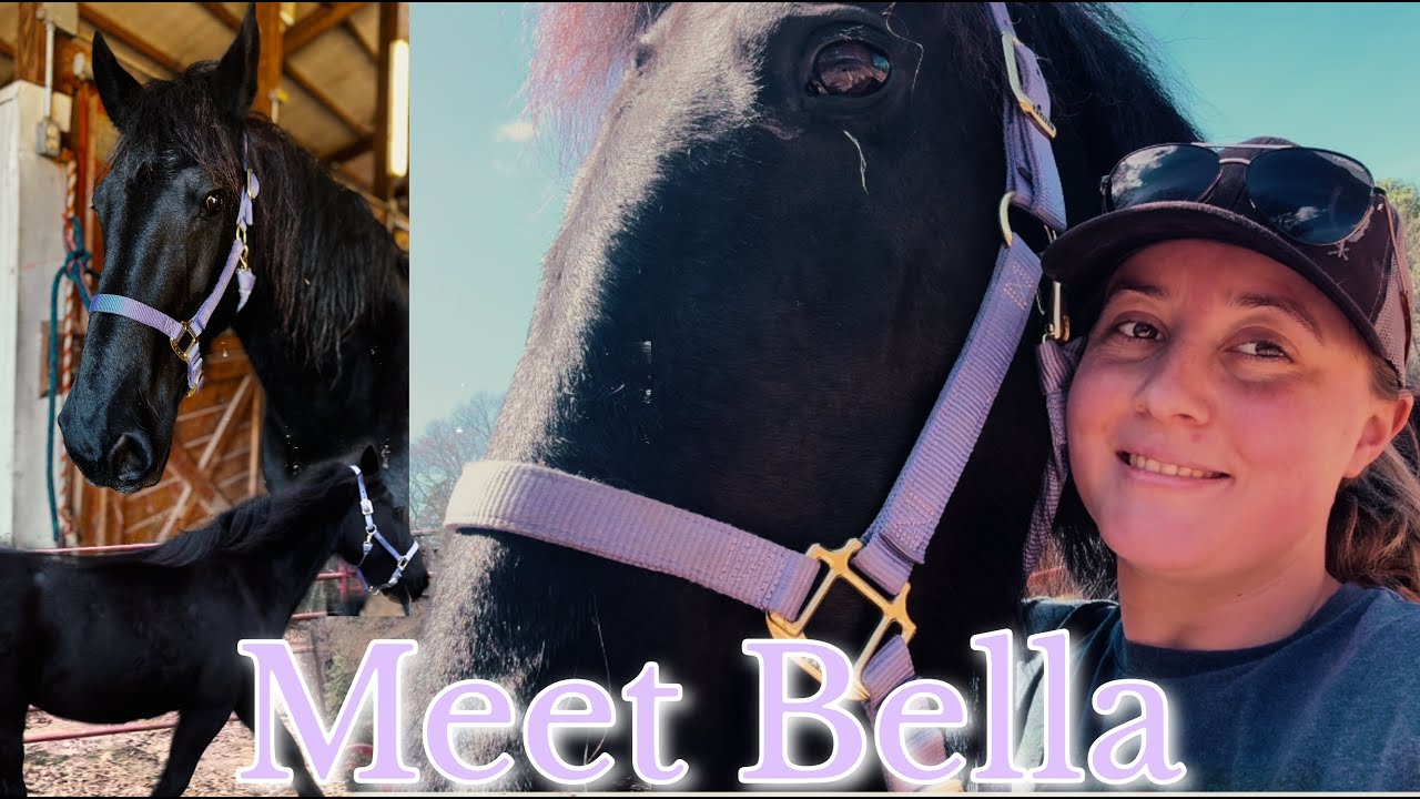 Surprise! Meet my New Horse Bella! - YouTube