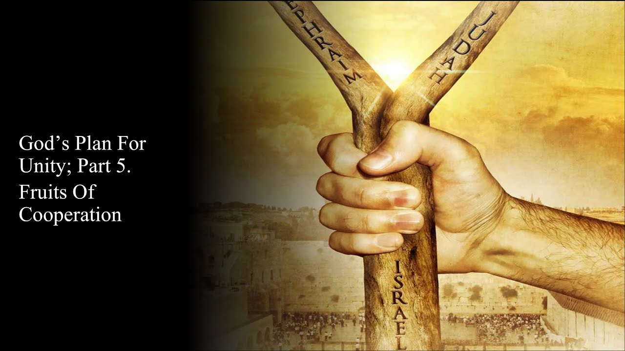 351 God’s Plan For Unity; Part 5. Fruits Of Cooperation - YouTube