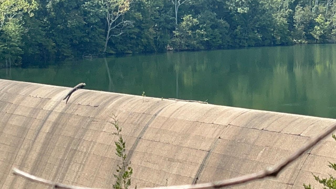 Liberty Reservoir Hydroelectric Dam - YouTube