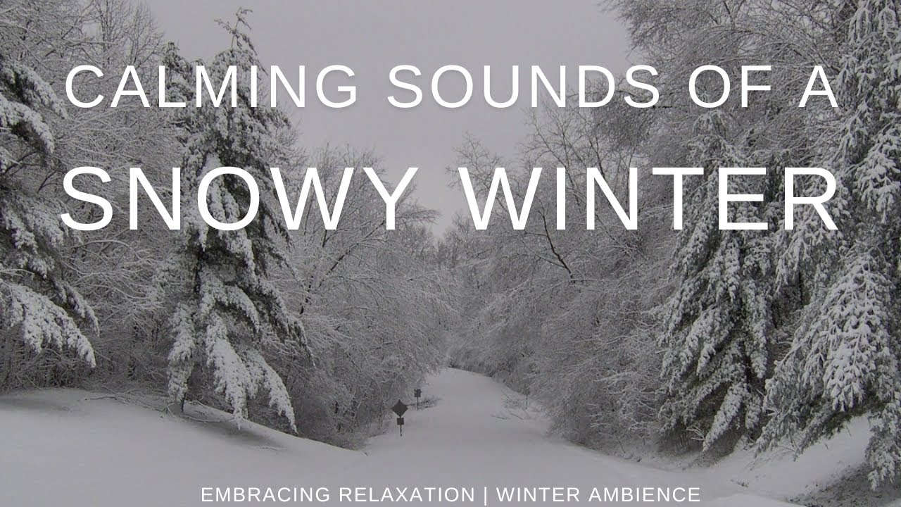 4 Hours of Calming and Relaxing snowy Winter Sounds | Sounds for ...