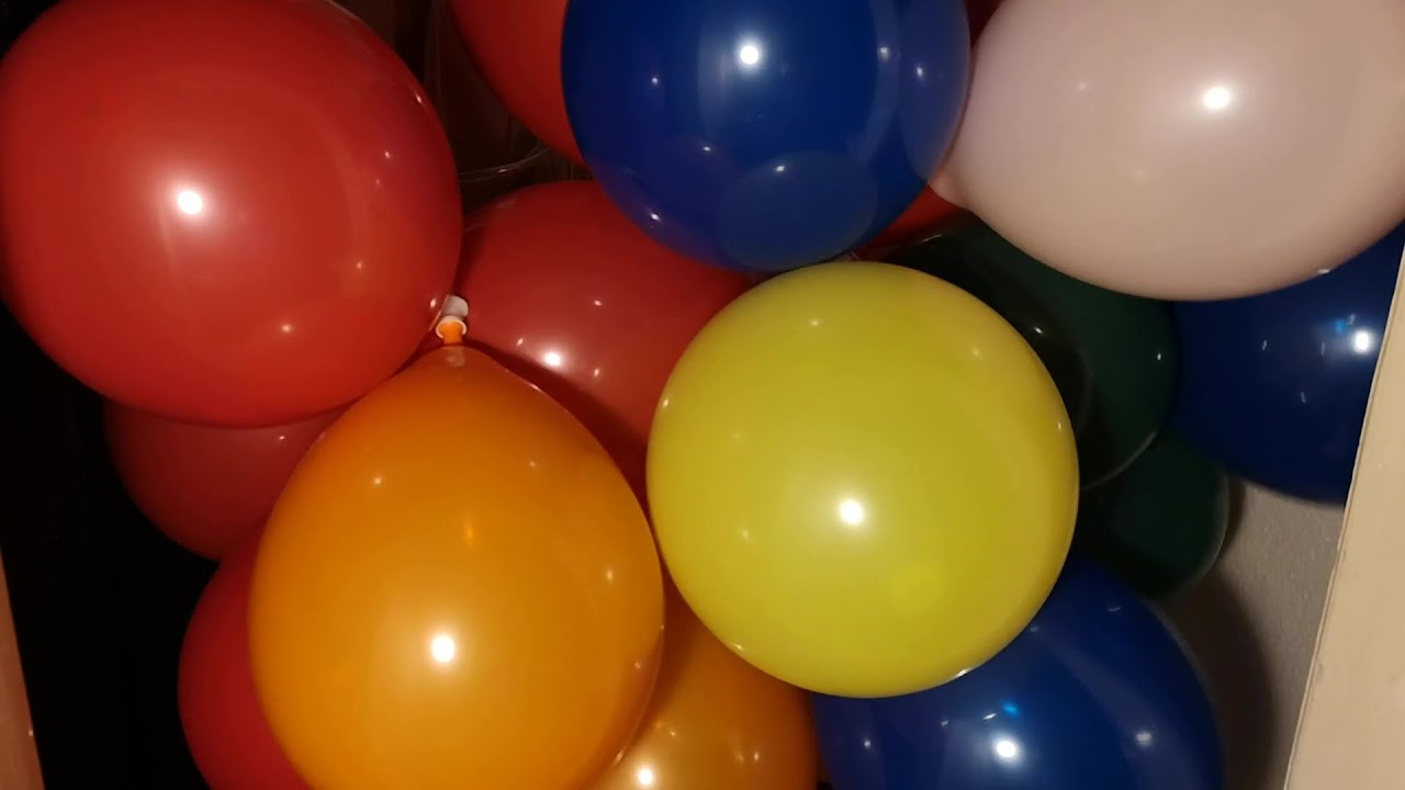 Simultaneous Pump to Pop Big Balloon Bouquet of 33 Qualatex 11 Inch ...