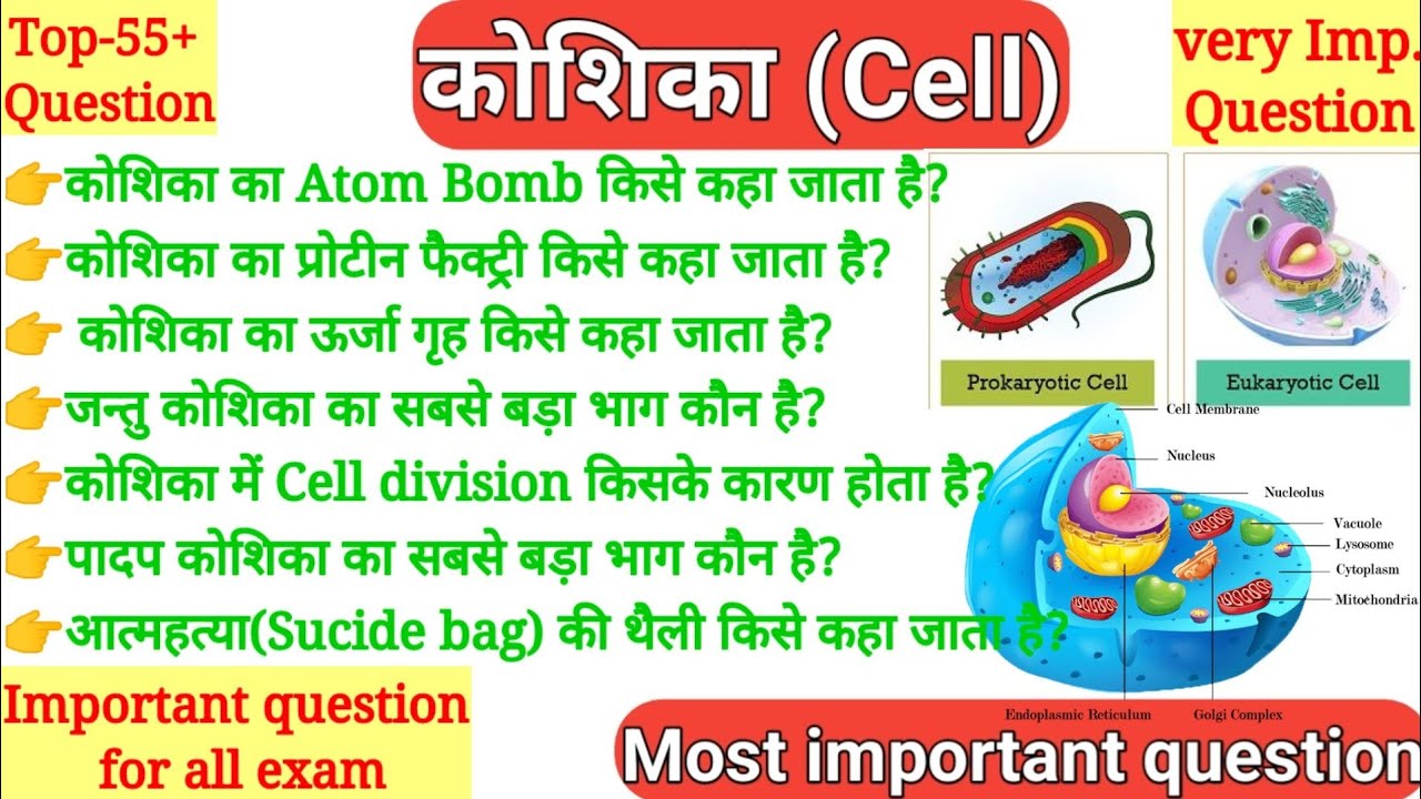Cell biology most important question | Cell important question | Cell ...