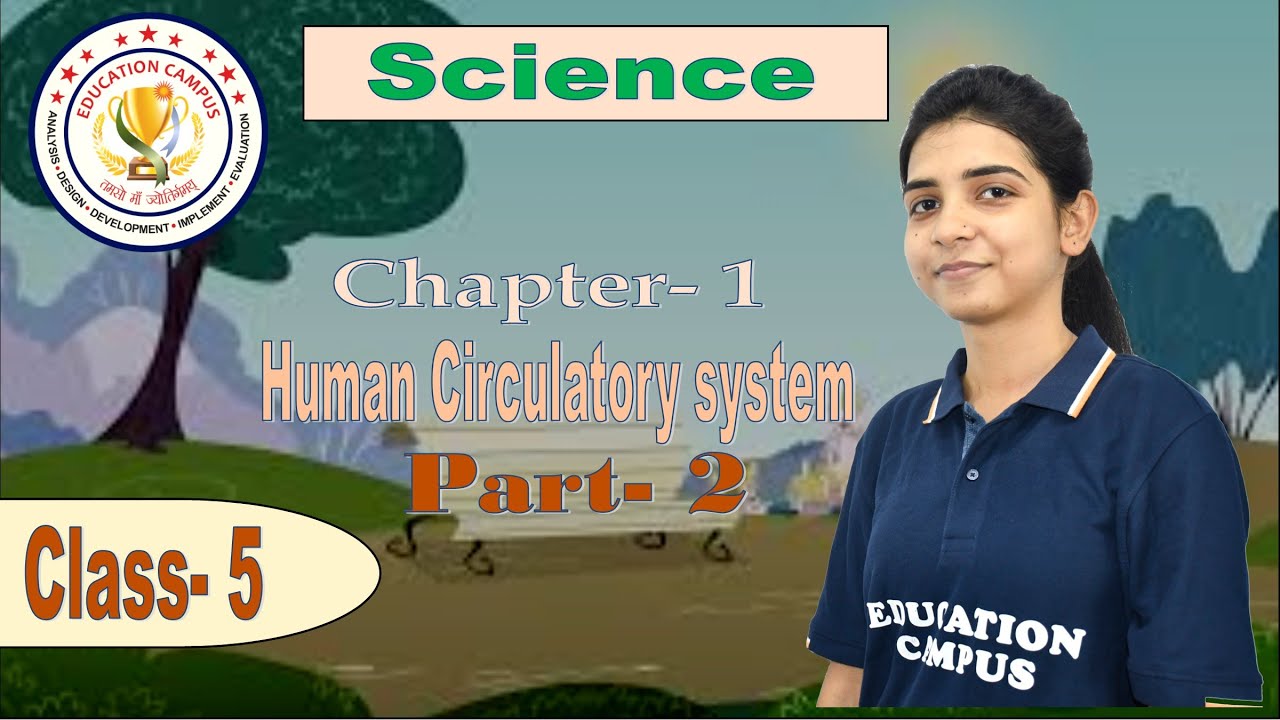 Blood vessels | Human Body-Circulatory System | ICSE Science class 5 ...