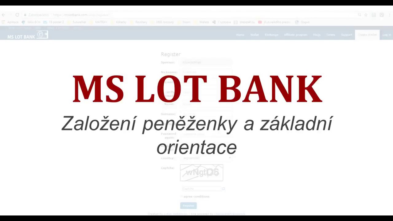MS LOT BANK | Založení a základní orientace - YouTube