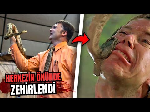 Zehirli Yılan Saldırısı Sonucu Ölen Üç Farklı Kişinin Hikayesi