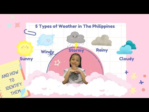 Grade 3 | Science Performance Task | Weather Research - YouTube