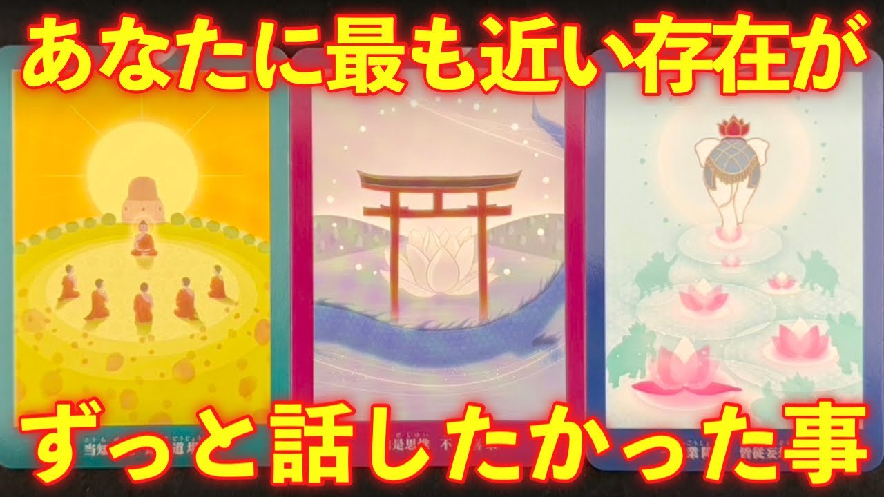 【感涙🥹】あなたに最も近い存在が、ずっと、ずっと話したかった事があります‼️ - YouTube