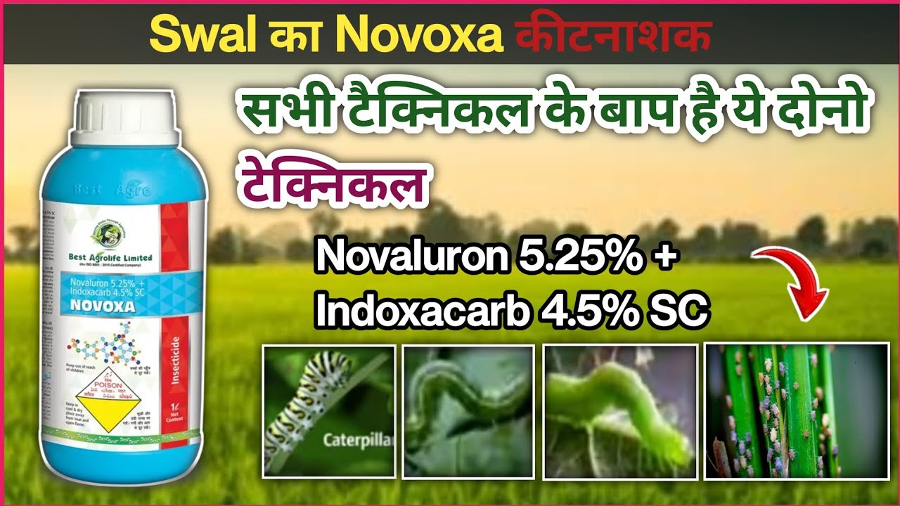 novoxa insecticide | Novaluron 5.25% + Indoxacarb 4.5% SC | पूरी ...
