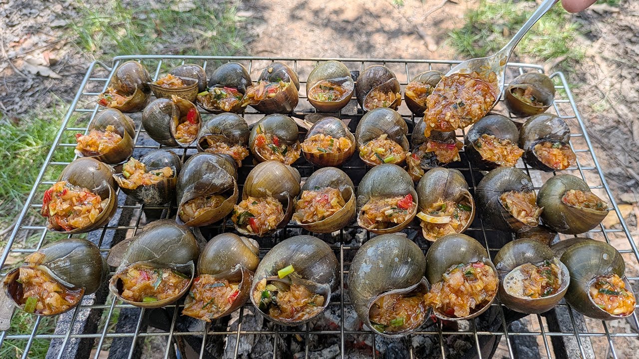 FIELD SNAIL!! Grilled Snail with Yummy Ingredient | Snail Grilling and ...
