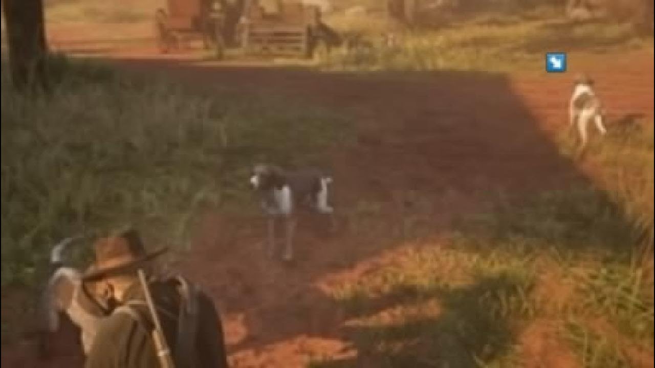 RDR2 - All the dogs greet Arthur!!! - YouTube
