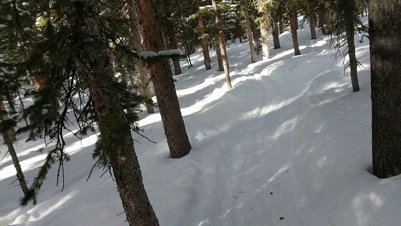 2017 tree run High lonesome Mary Jane Winter Park Ski Area need about 4 ...