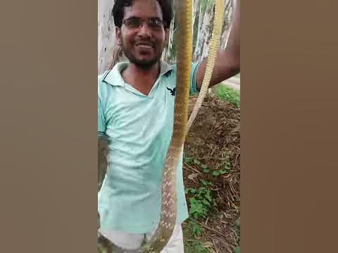 How to catch snake 2018 by dinu - YouTube
