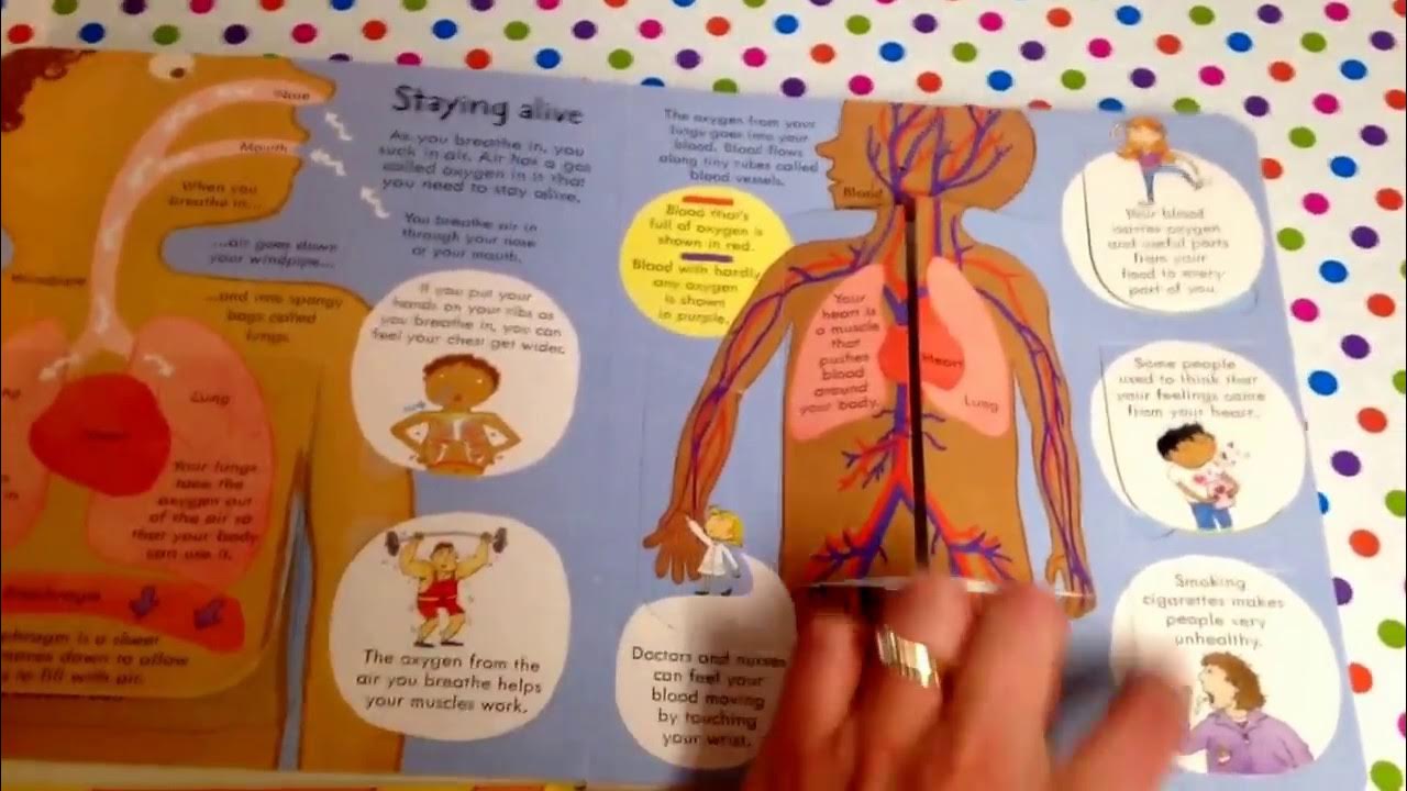 Look Inside Your Body - YouTube