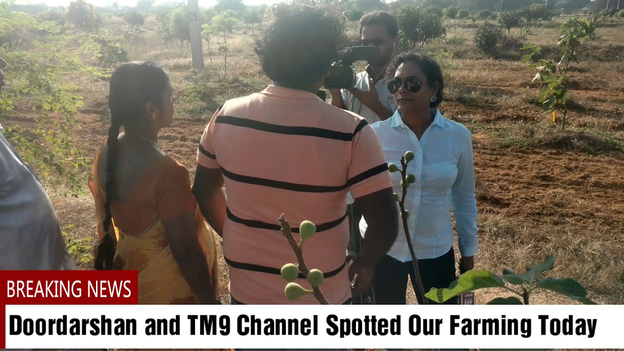 Doordarshan || DD Channel || TM9 || Spotted Our Farming Activities ...