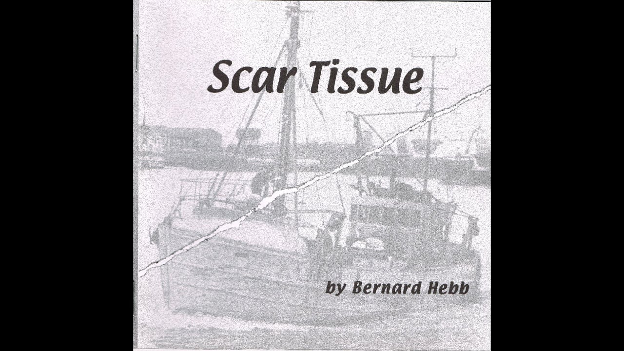 Bernard Hebb - Scar Tissue (CD, 2000) - YouTube