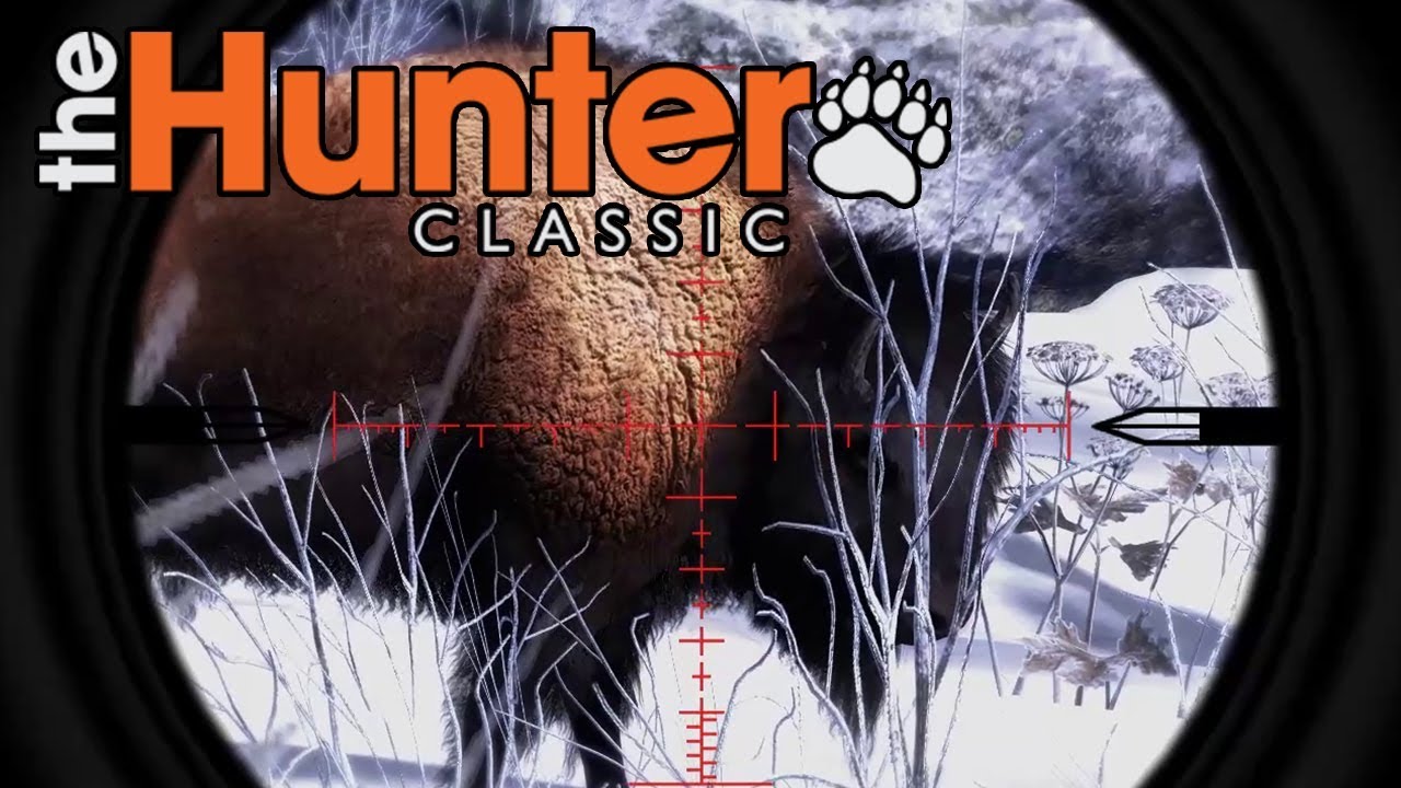 The Hunter Classic #16 -Ein Bison -The Hunter - YouTube