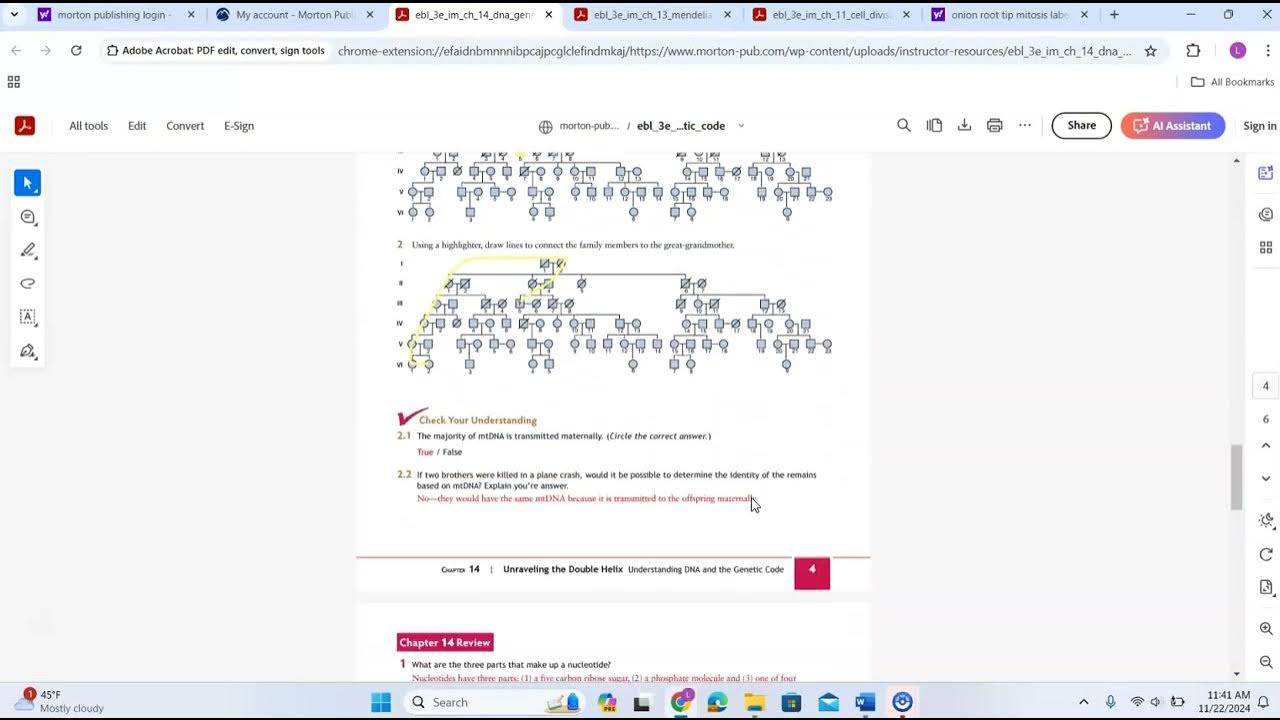 111 Lab Practical 2 Study Guide Review (Genetics, DNA, biotechnology) - YouTube