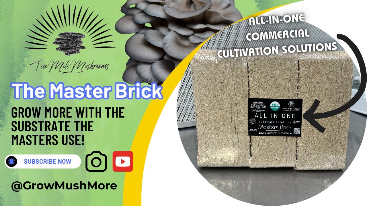 Master Bricks 101 Newest Teks for Commercial Cultivation with The Master Brick! - YouTube