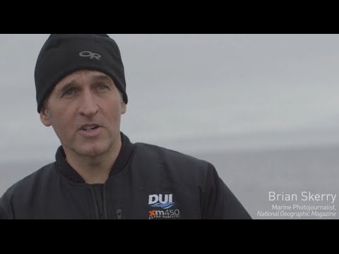 Brian Skerry on the urgency of permanently protecting Cashes Ledge ...