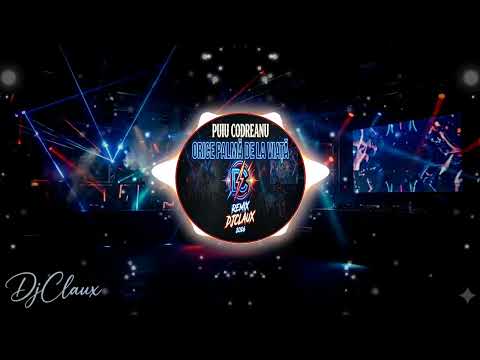 Puiu Codreanu - Orice palmă de la viață [DjClauX Remix]